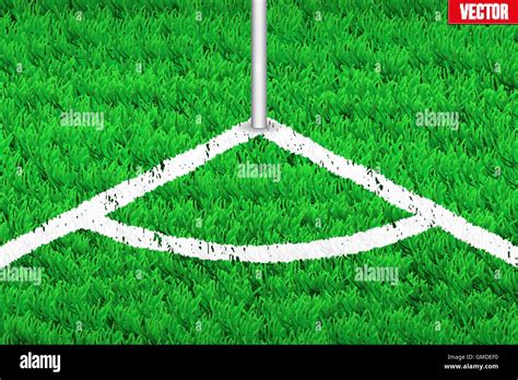 White Angular Lines On Grass Field Stock Vector Image And Art Alamy