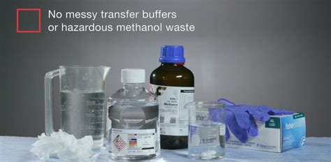 chingju h on linkedin iblot 3 western blot transfer system thermo