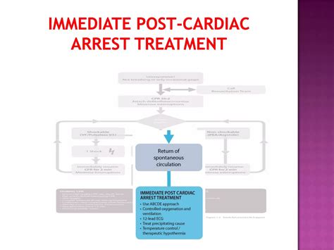 Abcde Bls Als Pdf Lung And Respiratory Health Diseases And