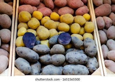 Different Types Of Potato Plants Over 88 Royalty Free Licensable Stock Photos Shutterstock
