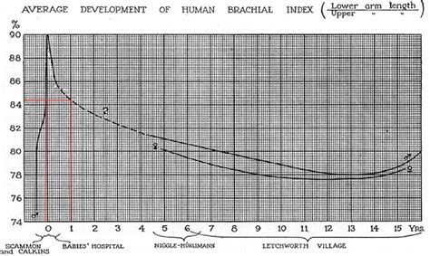 Development Curve Of Brachial Index From Intrauterine Life To Puberty Download Scientific