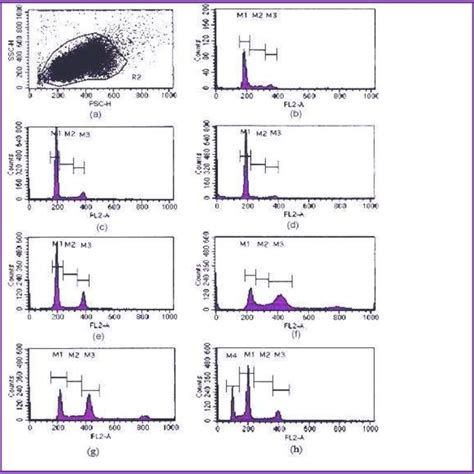 It Shows Dna Cell Cycle Analysis Of Cells Prior To And Following Download Scientific Diagram