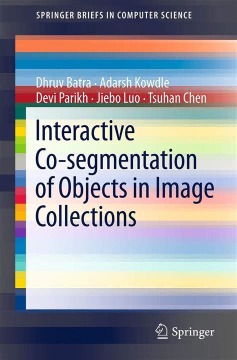 Interactive Co Segmentation Of Objects In Image Collections Springerbriefs In Computer Science