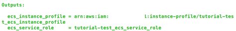 Flag 9 Scalable Deployment With Terraform Docker Ecs