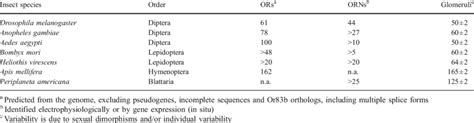 Estimates Of Olfactory Coding Units In Different Insects Download Table