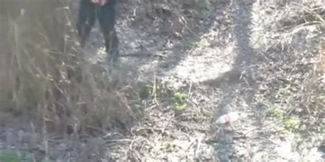 Reverse Perspective Dickflasher Spring Park