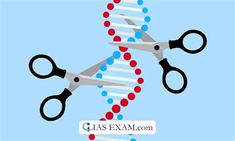 Recent Advances In Gene Editing Technologies IAS EXAM