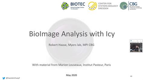 05c bioimage analysis with icy bioimaging youtube