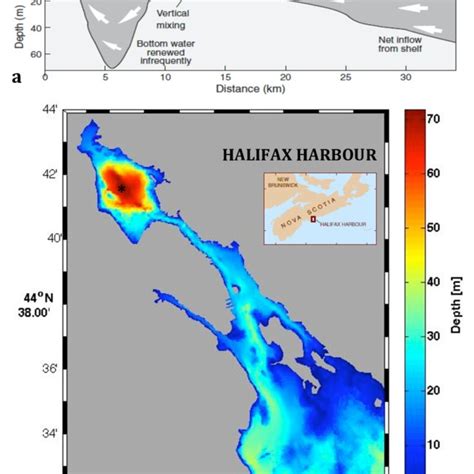 Weekly Vertical Profiles Of Salinity S P A And Temperature B