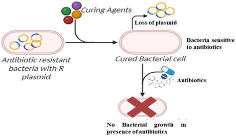 Frontiers Prevention And Potential Remedies For Antibiotic Resistance