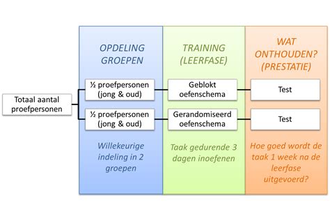 The Neural Correlates Of The Contextual Interference Effect In The