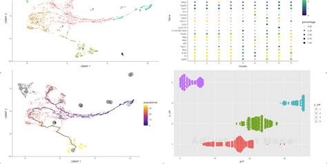 Single Cell Analysis Sonrai Analytics