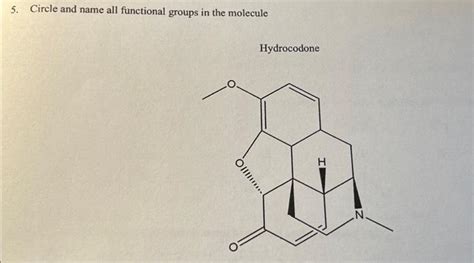 Solved 5 Circle And Name All Functional Groups In The Chegg Com