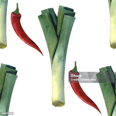 양파 부추와 수채화 원활한 패턴 손으로 그리기 장식 배경입니다 섬유 천 벽지 스크랩북 인쇄 개체 그룹에 대한 스톡 벡터 아트 및 기타 이미지 Istock