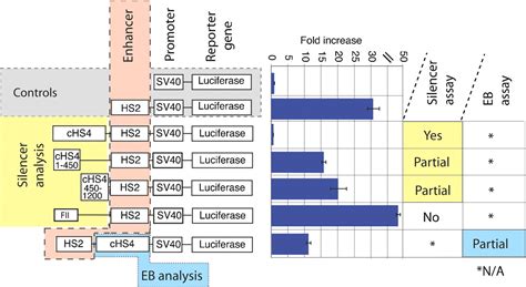 Detection And Characterization Of Silencers And Enhancer Blockers In The Greater Cftr Locus