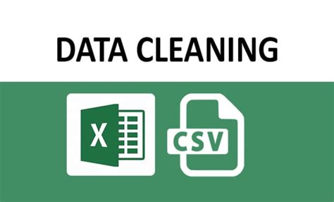 clean and validate you excel or csv data by theaniel fiverr