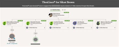View Ancestry Dna Matches By Ancestor With Thrulines Who Are You Made Of