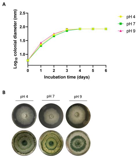 Polyphasic Characterization Of The Biocontrol Potential Of A Novel Strain Of Trichoderma
