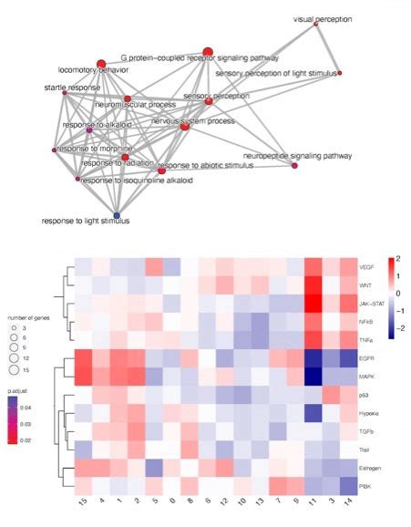 Spatial Transcriptomics AcelaBio