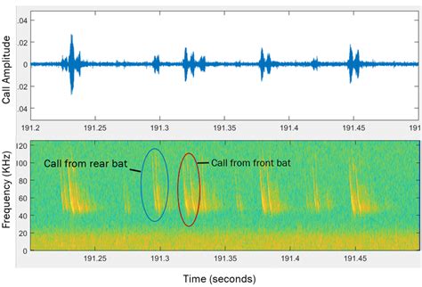 An Example Of Calls Recorded By The Microphones Top Plot Shows The Download Scientific Diagram