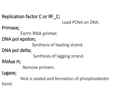 Dna Replication In Eukaryotes Pptx
