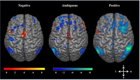 Happy And Sad Music Evoke Different Neural Patterns Neuroscience News