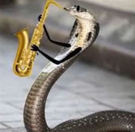 Ssssssssssssssssssssssssssss Rrickandmorty