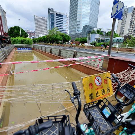 Omc Mejora Proyecciones De Comercio Global De Bienes Espera Declive De 9 2 En 2020 Infobae