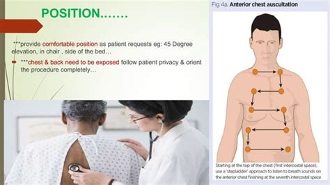 Chest Auscultation Lungs Sounds And Heart Sounds Assessment Murugeshpptx Ear Nose And Throat