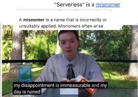 Serverless Server Less Rprogrammerhumor