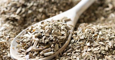 Can You Smoke Catnip To Get High Facts And Myths Explained