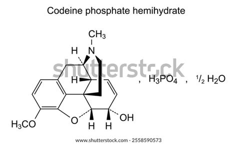 Chemical Structure Codeine Phosphate Hemihydrate Drug Stock Vector