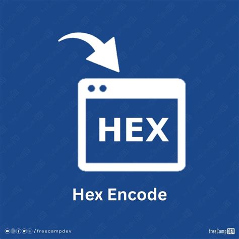 Hex Encode Freecamp Dev