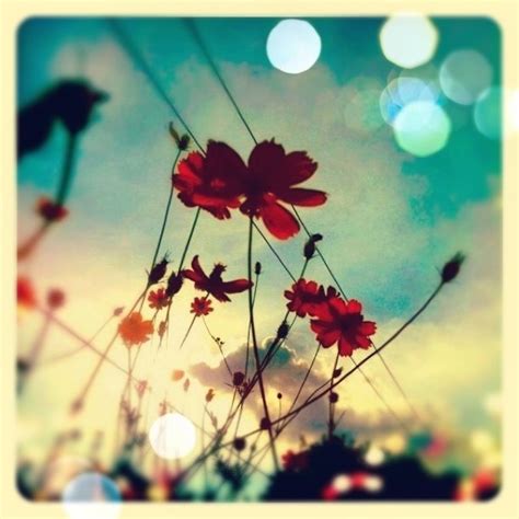 Best Images About Bokeh On Pinterest Bokeh Tutorial Snow And Rain