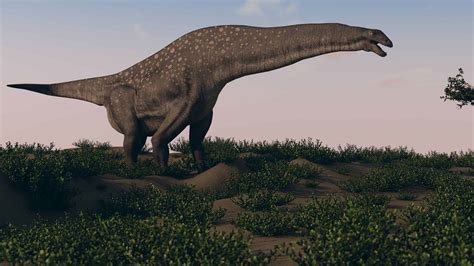 Titanosaurus Dinosaur