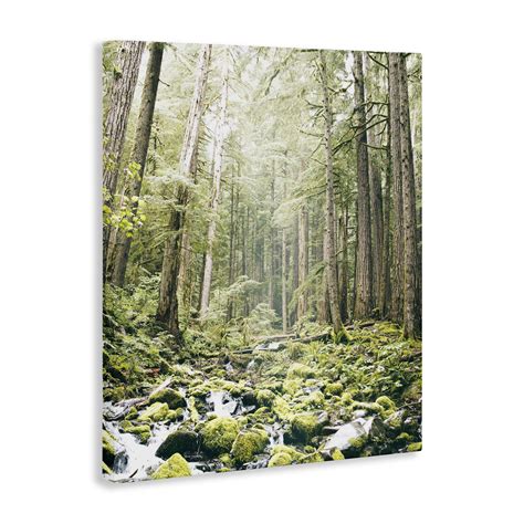 Foundry Select Verdant Forest Glow Wilderness Canvas Design By Leah Straatsma Wayfair