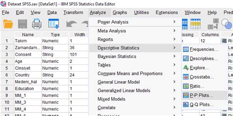 P P Plot Nedir SPSS Resimli SPSS YARDIMI İSTATİSTİK MERKEZİ