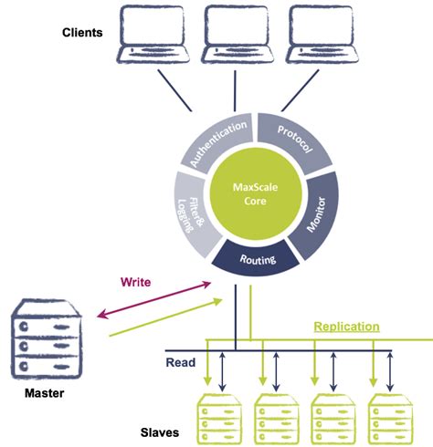 MariaDB MaxScale Setup With Binlog Server And SQL Query Routing MariaDB