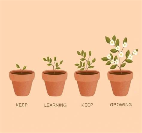 Ankit Gupta On Linkedin Keeplearning Keepgrowing