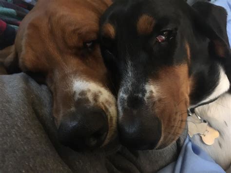 Brother And Sister Scrolller