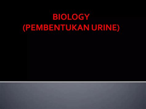 Biology Tahapan Pembentukan Urine Pptx