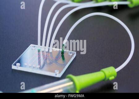 Lab On A Chip LAC Technology With A Pipette Stock Photo Alamy