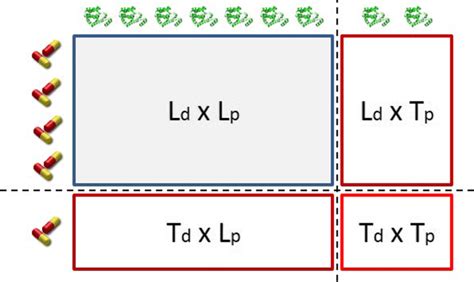 The Prediction Setting Of A Dti Network Download Scientific Diagram