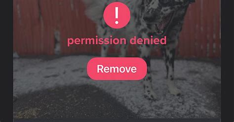 Why Am I Denied I Dont Understand Why My Posts Are Being Denied Anyone Else Having This Issue