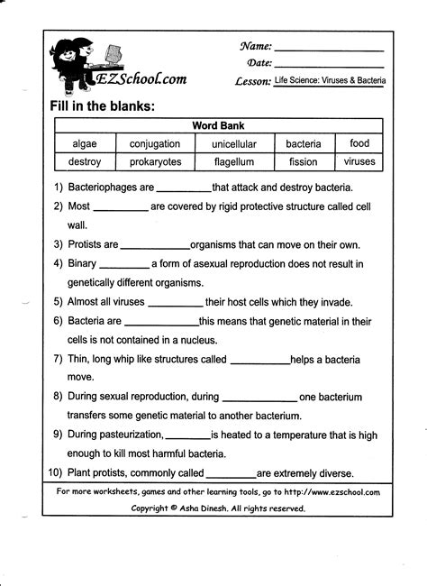 Worksheet Cell Structure And Function Printable Calendars At A Glance