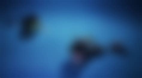 Who Was Lizzy Texting Rmurderdrones