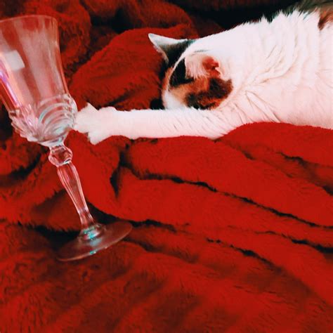 Wheres The Money The Algorithms Are On My Side By Slender Pins