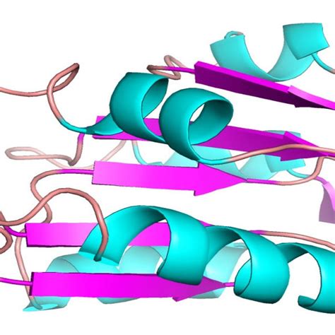 3d Structure Of The Drug Target Dna Binding Response Regulator Modeled