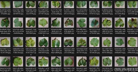 智慧农业数据集（一） Csdn博客