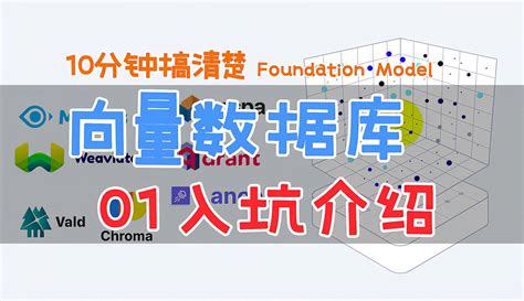 向量数据库介绍，vector和embedding关系 大模型 向量数据库 科技视频 免费在线观看 爱奇艺